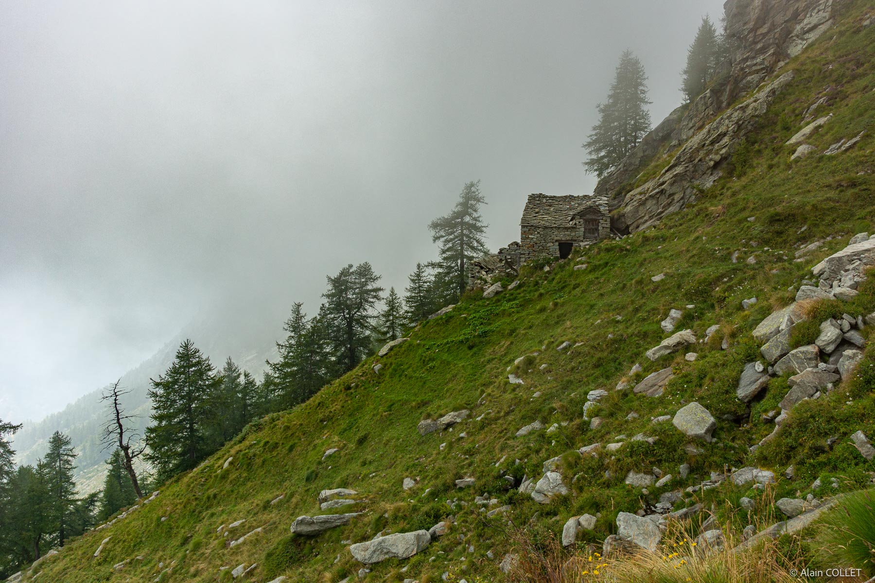 Chalet Chalet